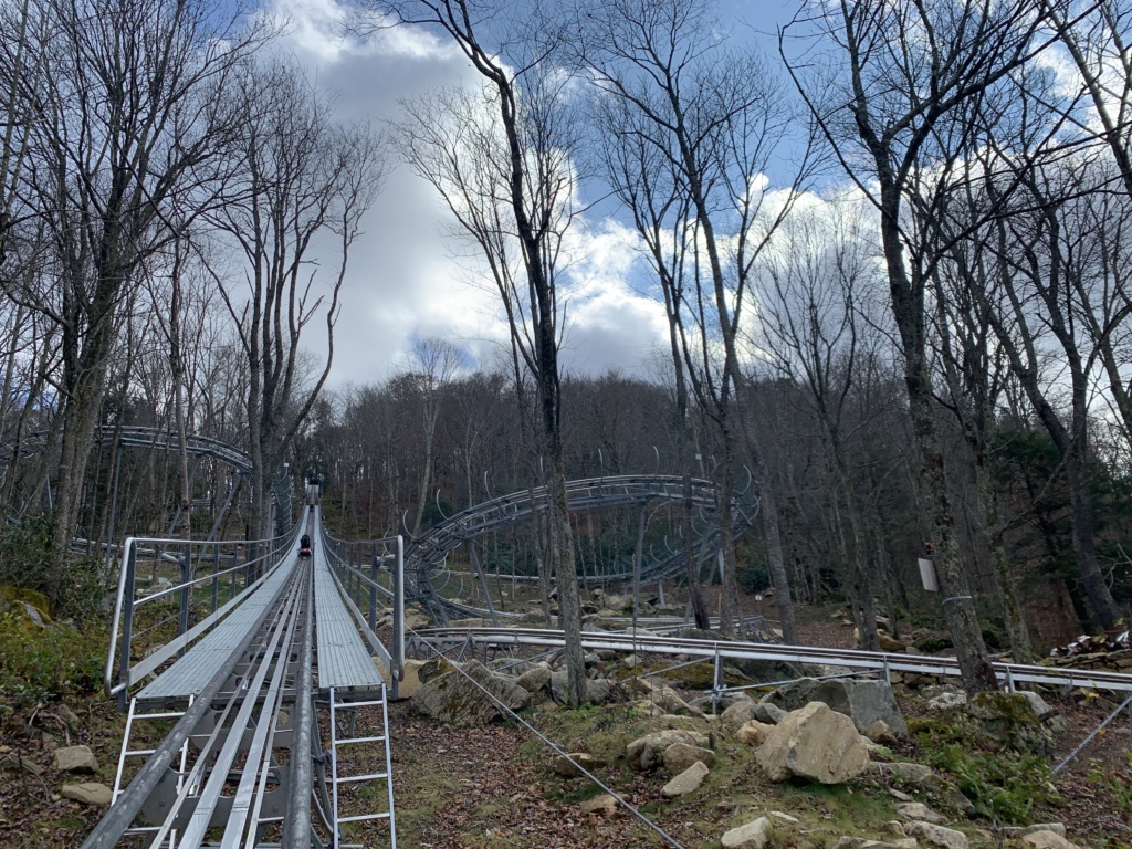Wilderness Run Alpine Coaster – Parents with Passports